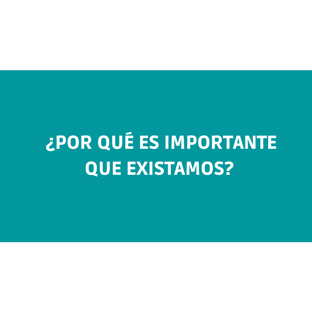 ¿POR QUÉ ES IMPORTANTE QUE EXISTAMOS LOS COLEGIOS PROFESIONALES DE ...